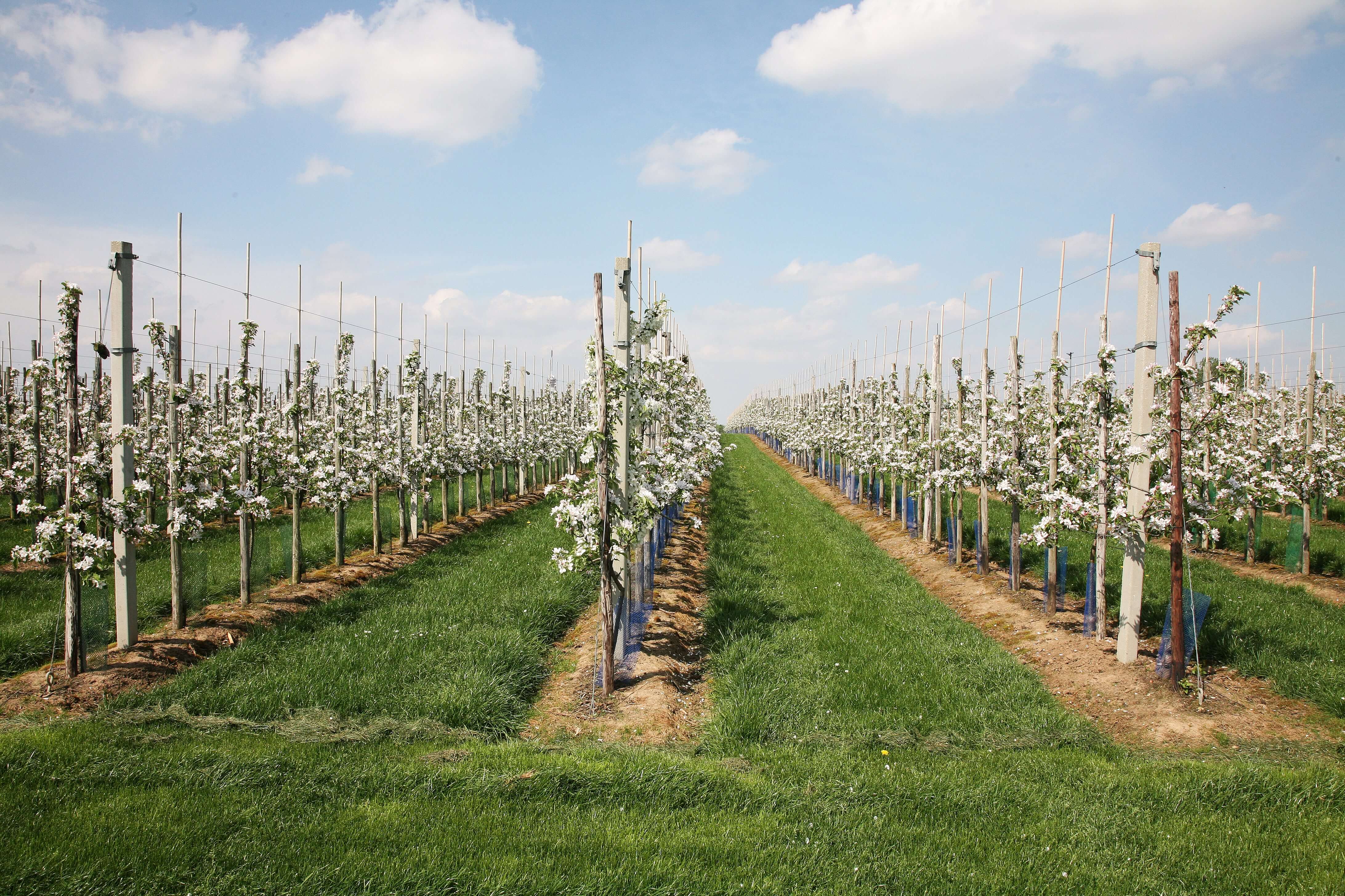 Lowette Agrotechnic: Uw partner in agrarische machines